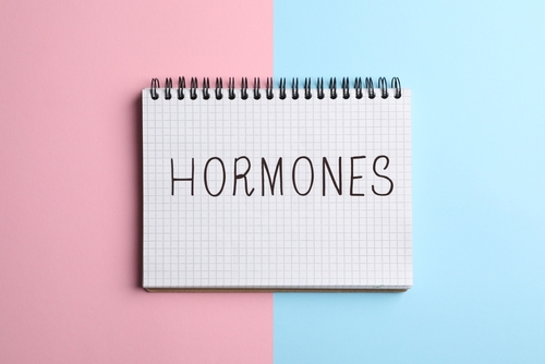 Hormones Shape Your Body and Mind | Visit MRC Now